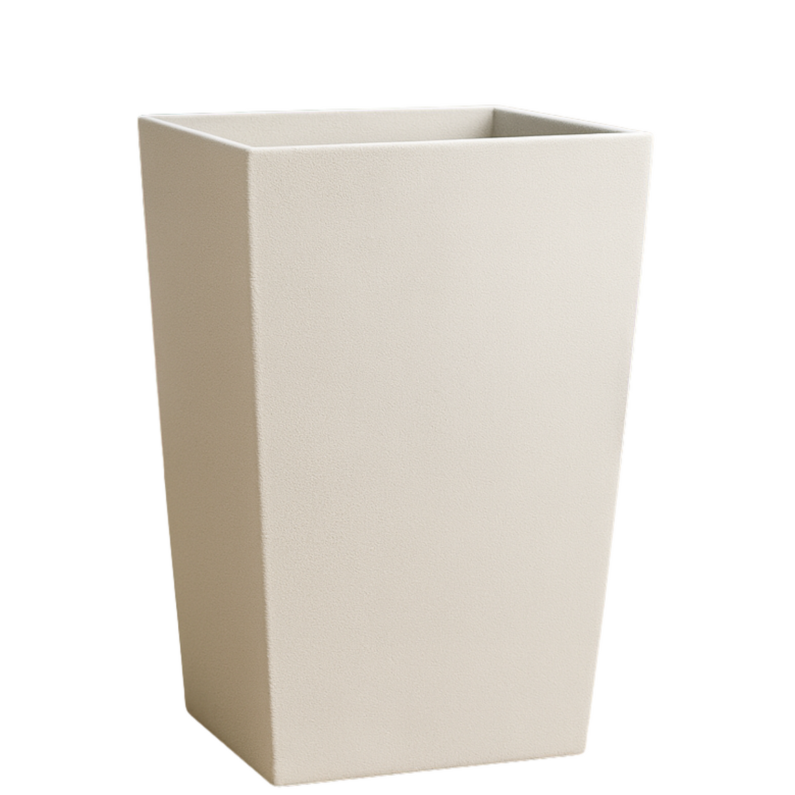 Egg Fruit (Canistel / Muttapazham) – A Rare Tropical Superfruit Tree f ...