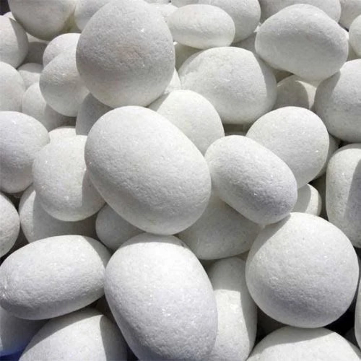 Pebbles – Hug A Plant